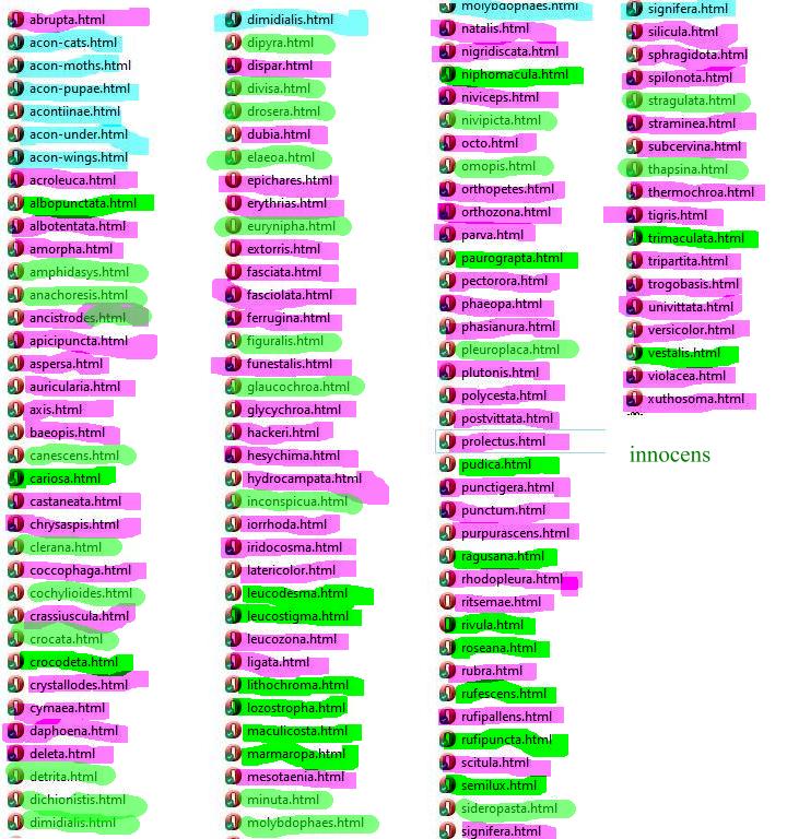 Index of /acon/